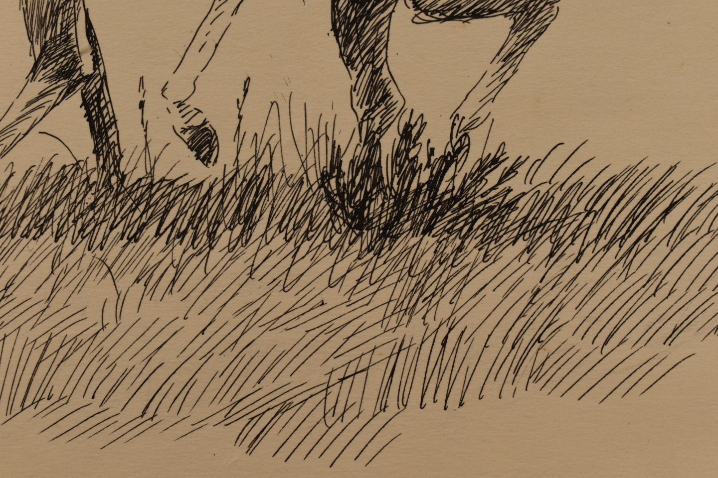 NATIVE AMERICAN PLAINS DRAWING BY DANIEL ENEMYBOY