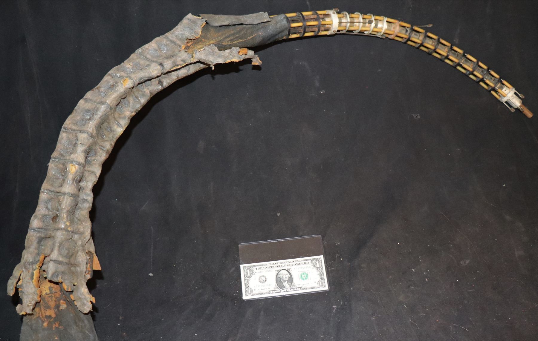 ALIEN VS PREDATOR ANIMATRONIC ALIEN QUEEN TAIL RIG SCREEN USED