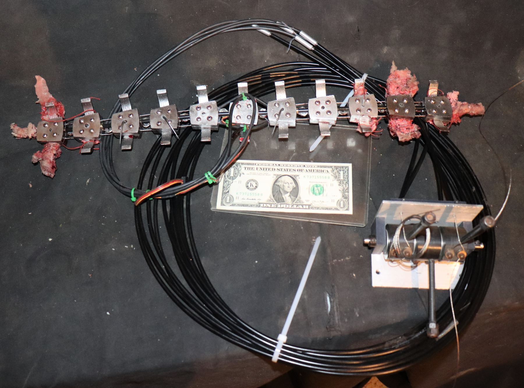 BLACK LIGHTNING SCREEN MATCHED HERO ANIMATRONIC SPINE TOBIAS RIPS FROM ...