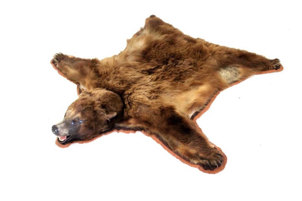 Trophy Montana Cinnamon Black Bear Felt Backed Rug
