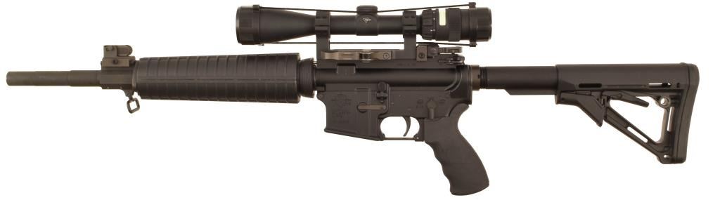Ted Nugent's .50 Beowulf AR-15 Trijicon Scope