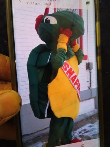 Snapper Lawn Mower Turtle Mascot Costume