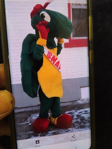 Snapper Lawn Mower Turtle Mascot Costume