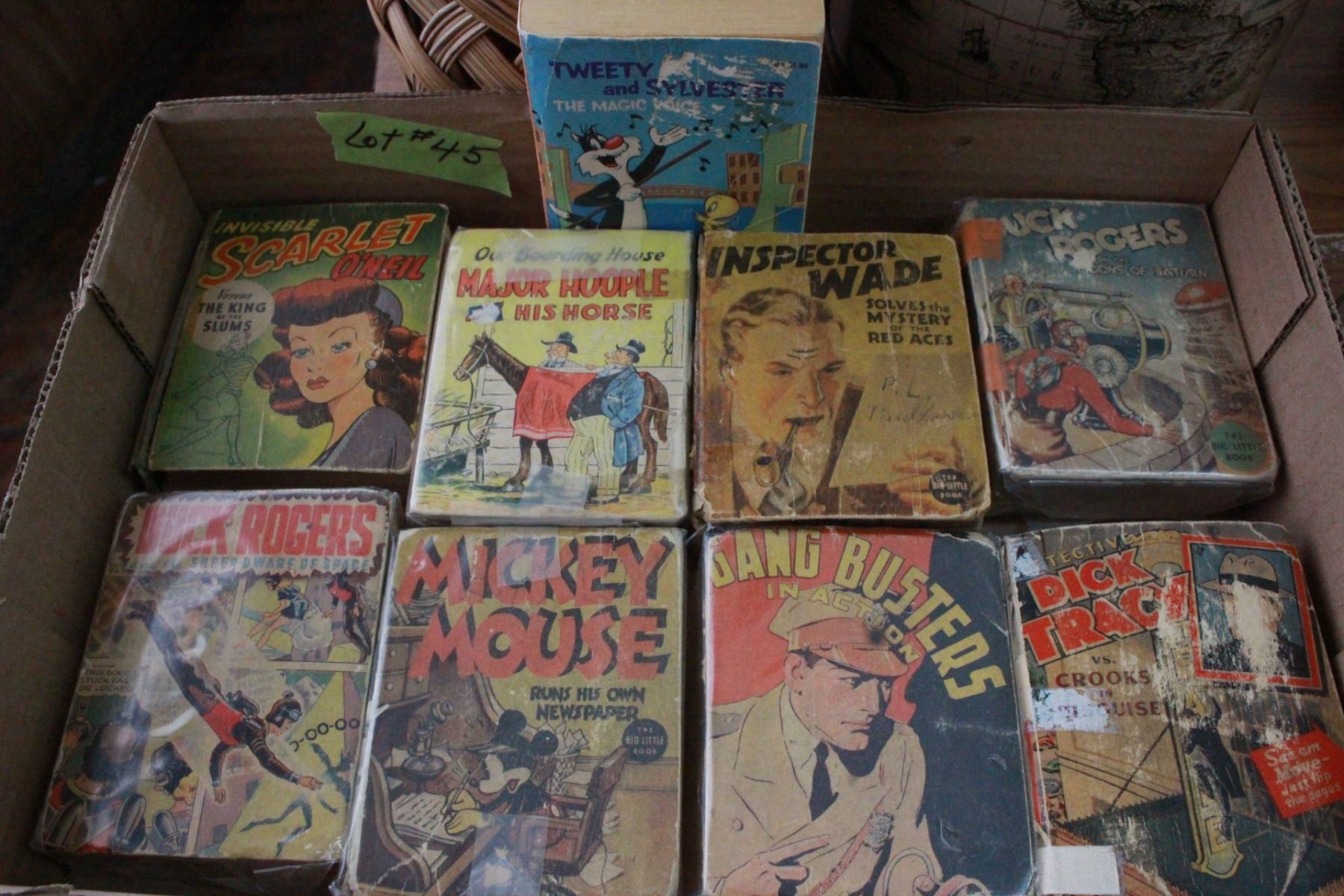 Collection of Little Big Books (9)