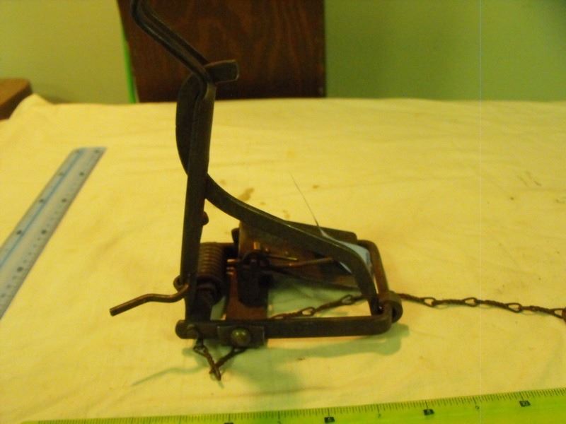 RSPCA spring loaded trap