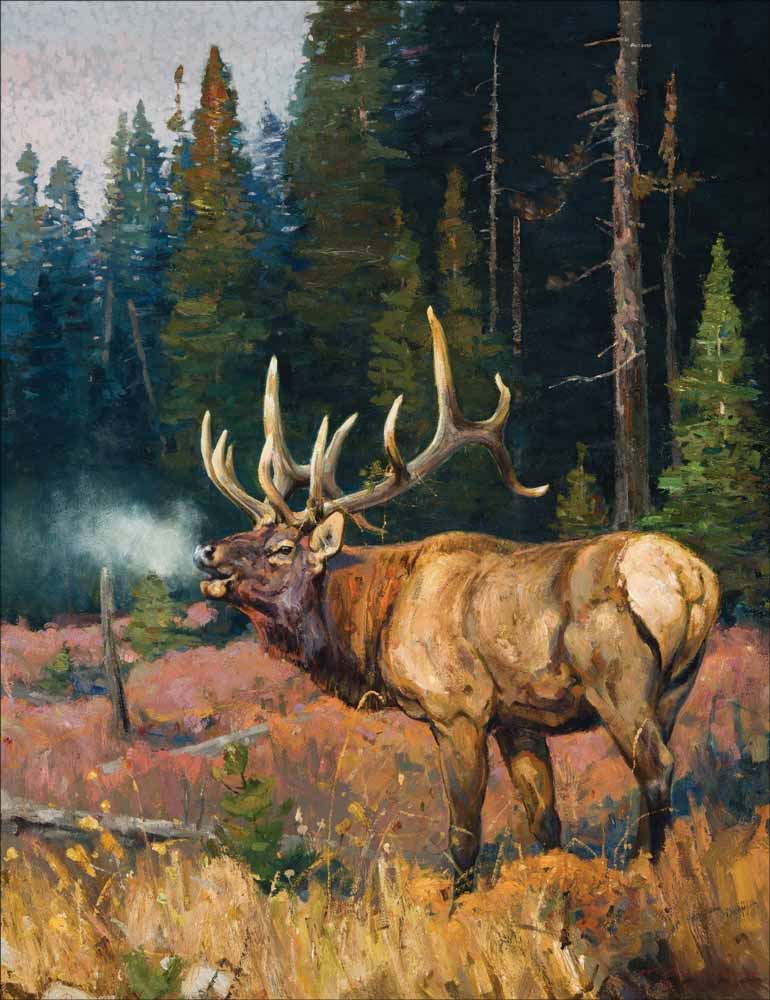 Luke Frazier -Spectacle