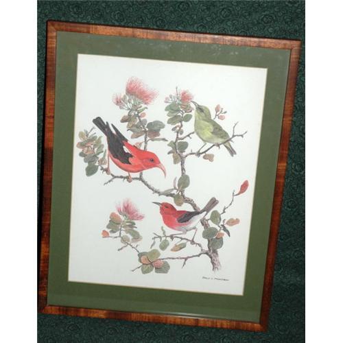 Hawaii Honey Creepers Print, Dale Thompson #1610732