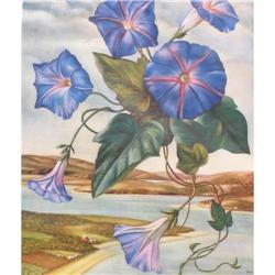 1947 Edna Reindel Calendar Litho Print Morning #1614025
