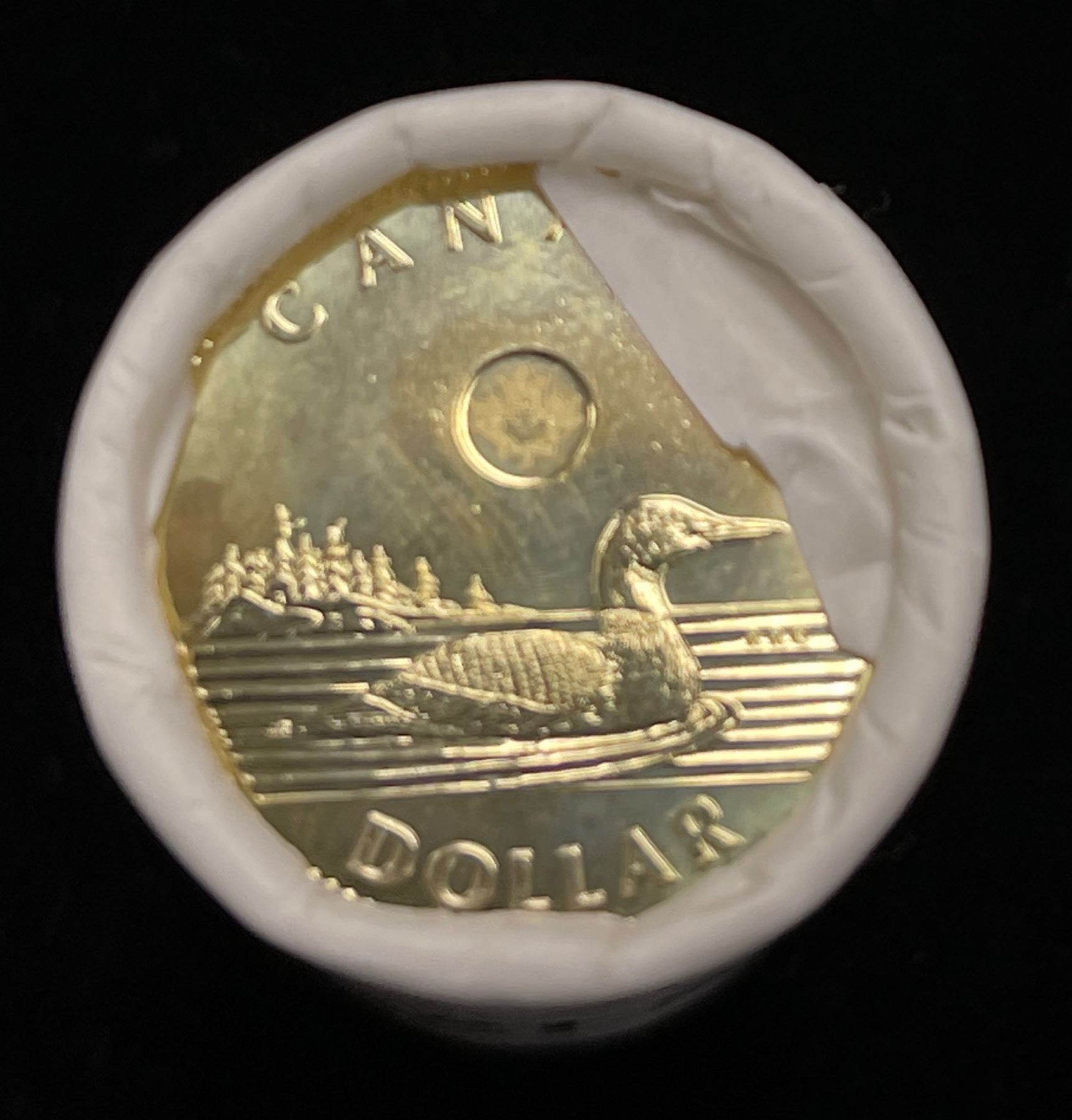 2019 Original Roll Of Loonies In Cello 2019-original-roll-of-loonies-in-cello