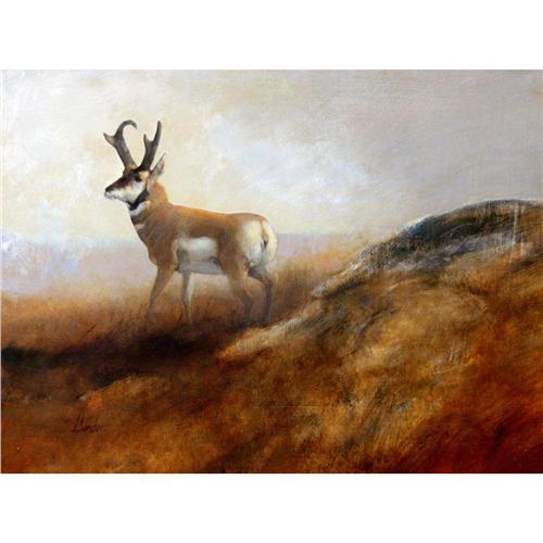Tom Sander, Oil Painting Pronghorn