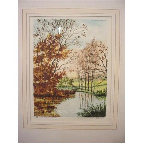 Sunny Corner By Martin