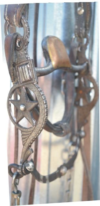 bridle with El Gato silver inlaid star pattern bit