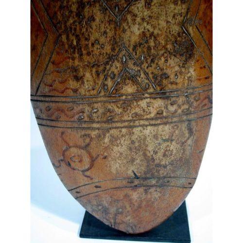 A RARE NEW SOUTH WALES SHIELD (La Perouse),