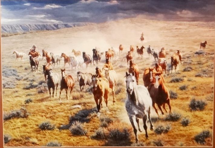 Cox, Tim limited edition framed print, Rumbling Thunder-Herd of Horses ...