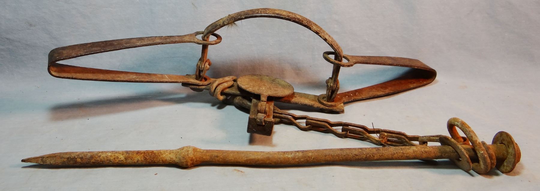 S. Newhouse #44 U. S. Govt. double spring trap, chain and spile