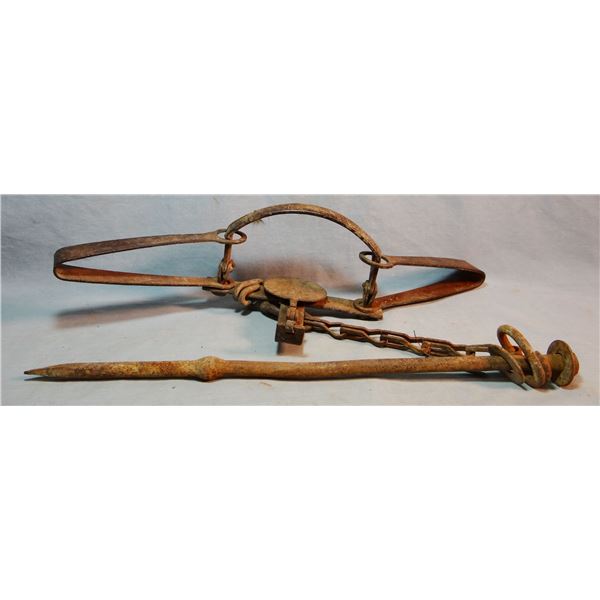 S. Newhouse #44 U. S. Govt. double spring trap, chain and spile