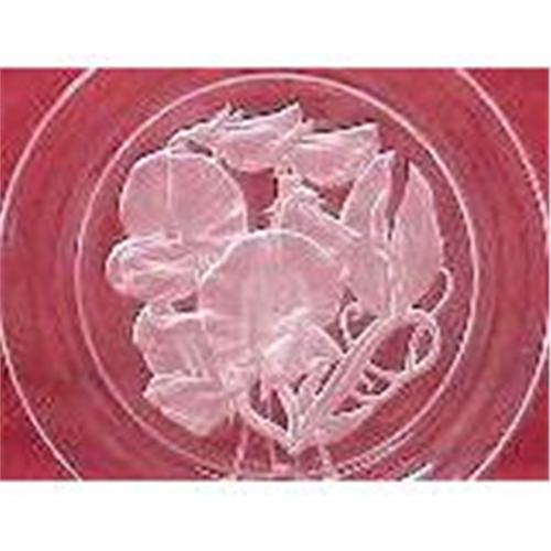 Engraved Crystal Plate #1738905
