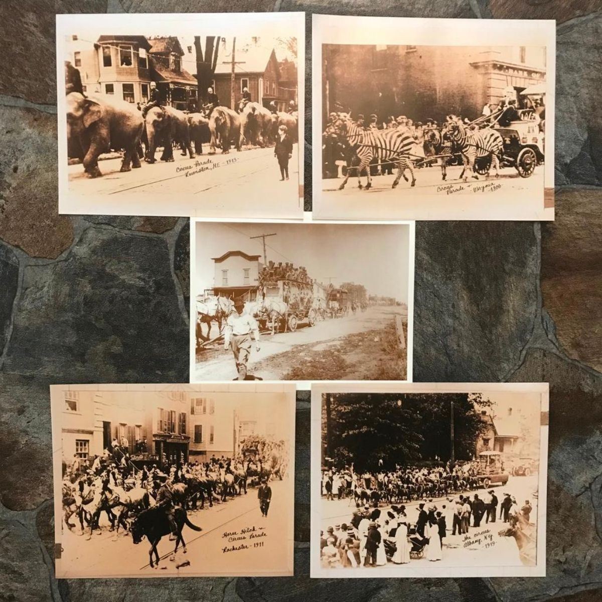 Group of Sepia Photo Prints, Early 1900's Circus Parades