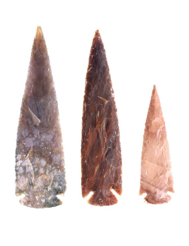 Collection of Lanceolate Hardin Projectile Points