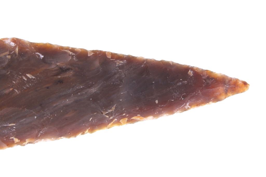 Collection of Lanceolate Hardin Projectile Points