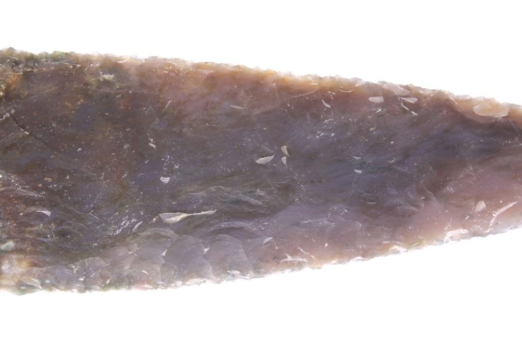 Collection of Lanceolate Hardin Projectile Points