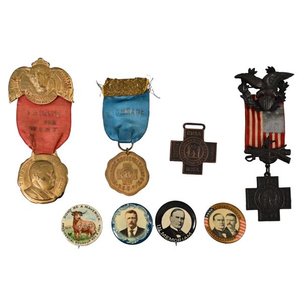 Teddy Roosevelt Presidential Pin Collection