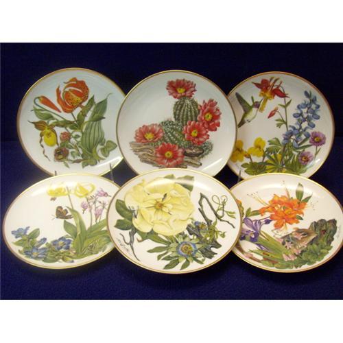 Sierra Club Flower Plate Collection 6 #1792502