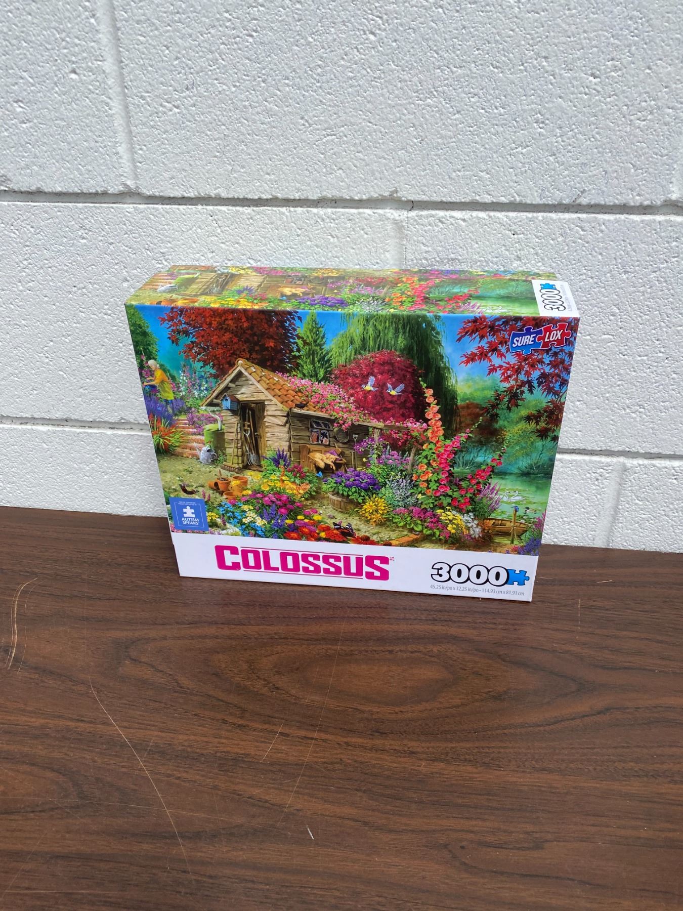 3000 pc puzzle