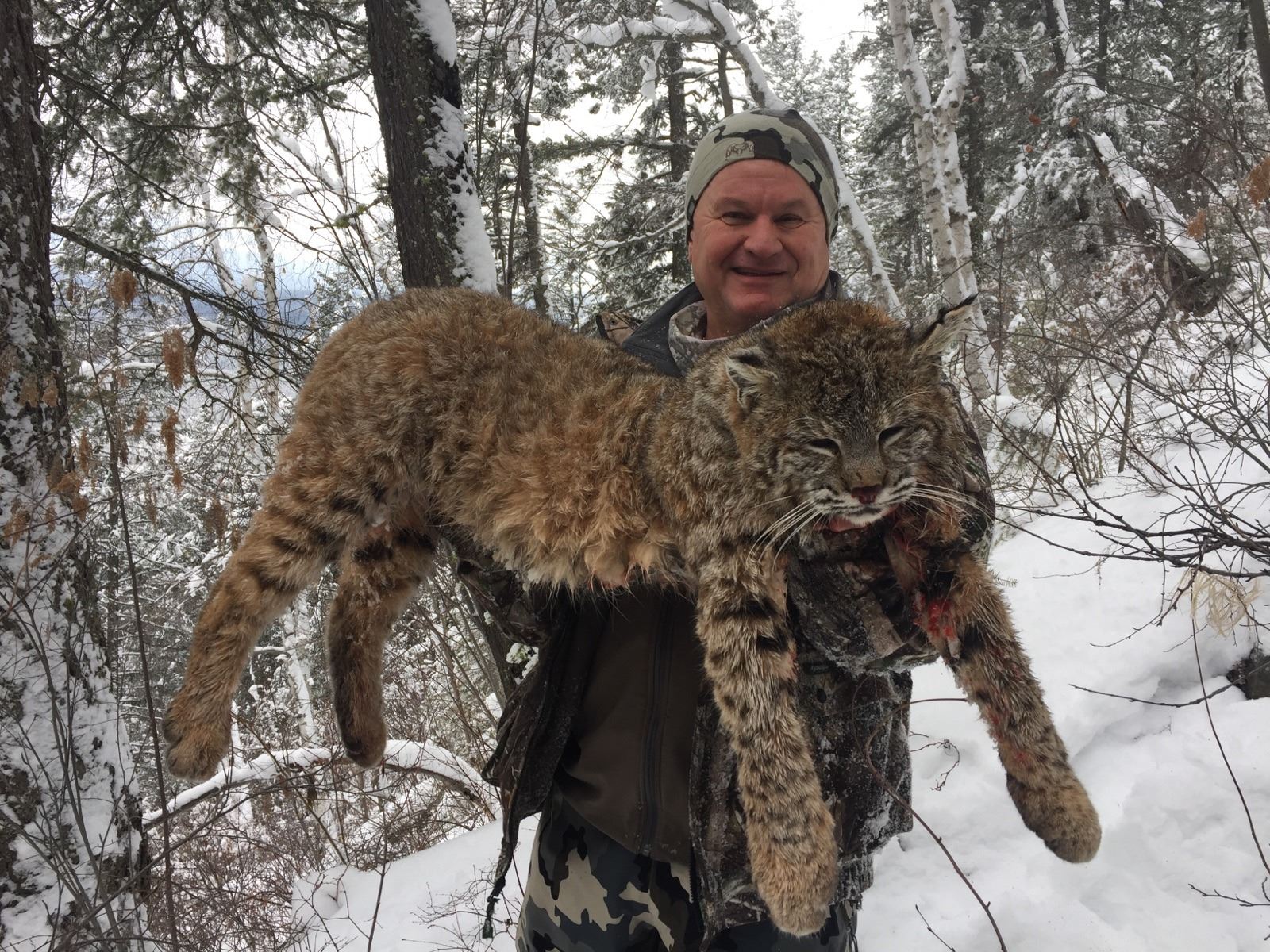 British Columbia Lynx Hunt