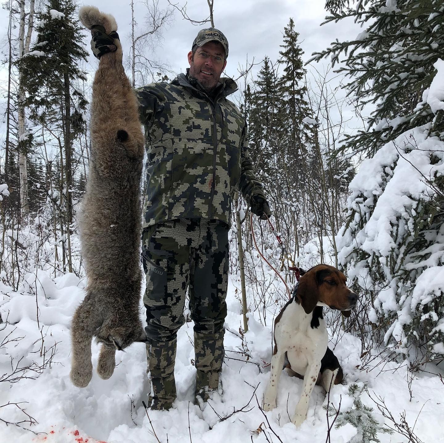 British Columbia Lynx Hunt