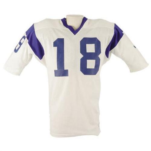 1972 Roman Gabriel Game Jersey.