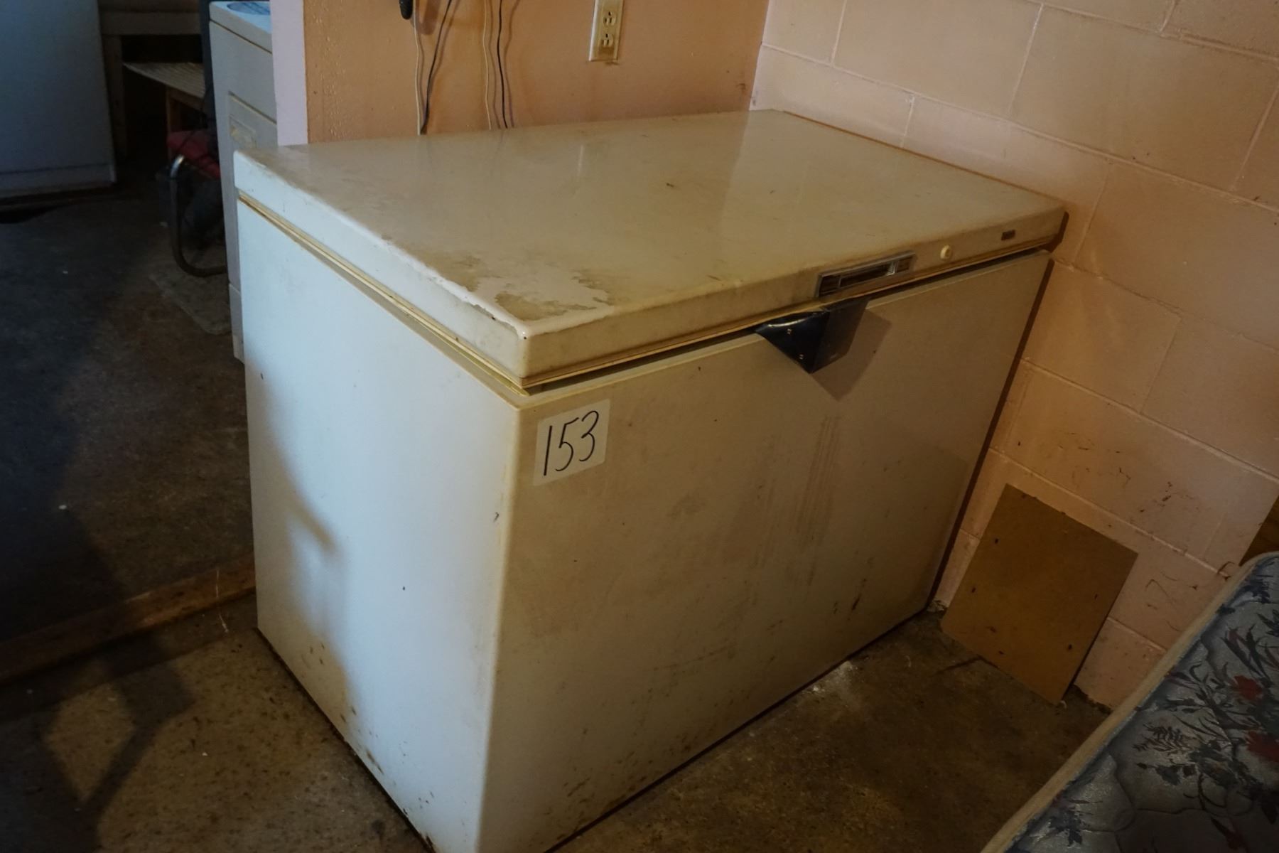 Freezer in Basement