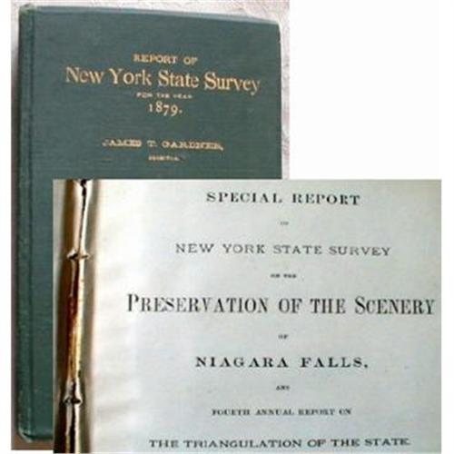Niagara Falls Book/Maps ANTIQUE RARE *1880* #1872419