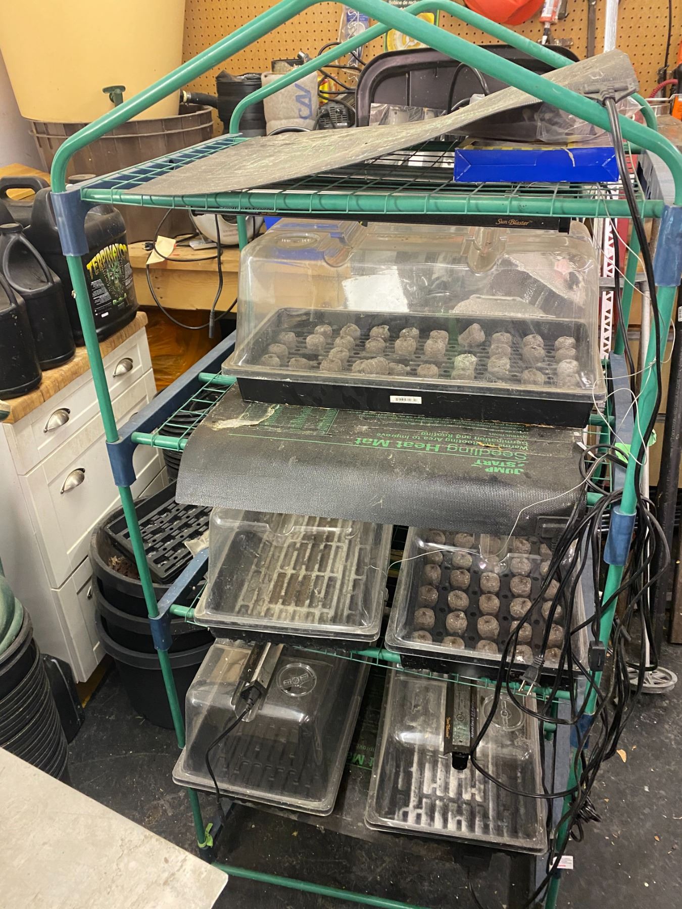 Seedling starter set up
