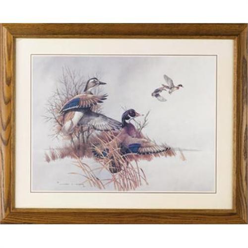 Charles E. Murray Print Ducks