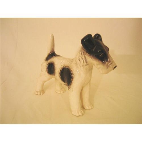 Beautiful German Fox Terrier Black/White #1913973