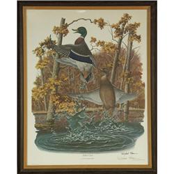 LITHOGRAPH RICHARD SLOAN MALLARD DUCK SIGNED