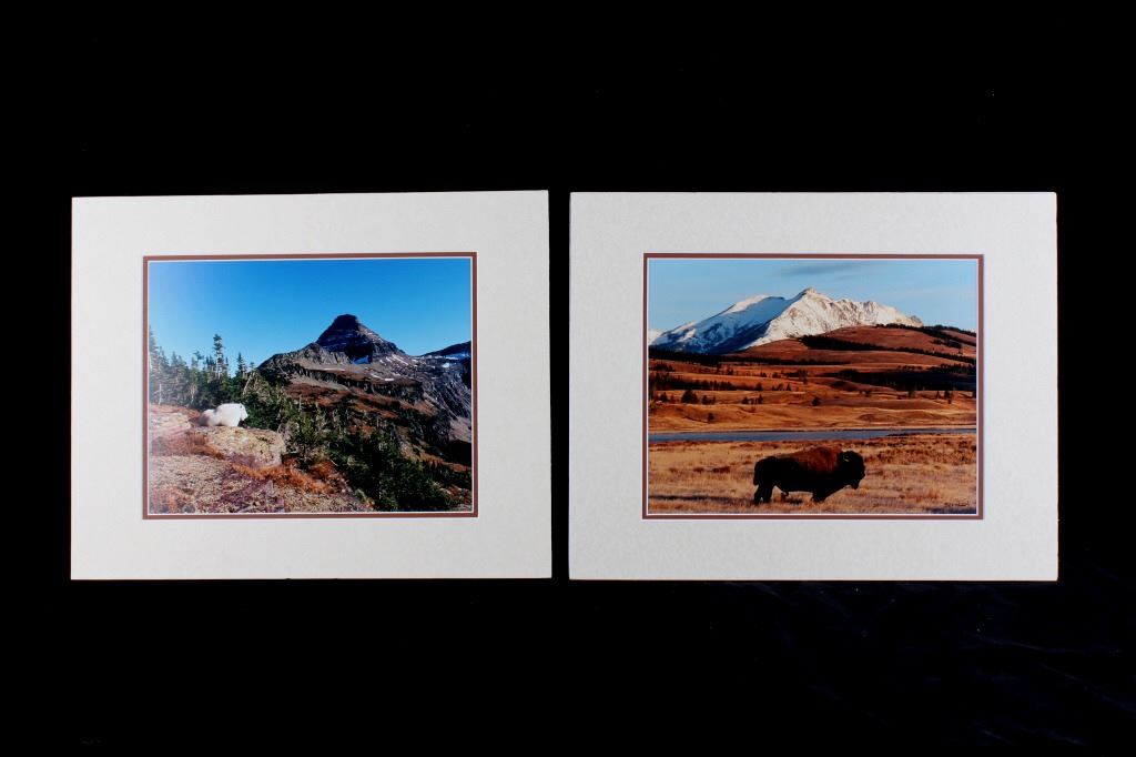 Priest, Bill Bison & Mt. Goat Matte Collection