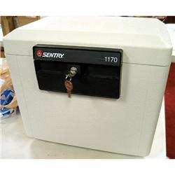 Sentry 1170 Fire Safe for documents