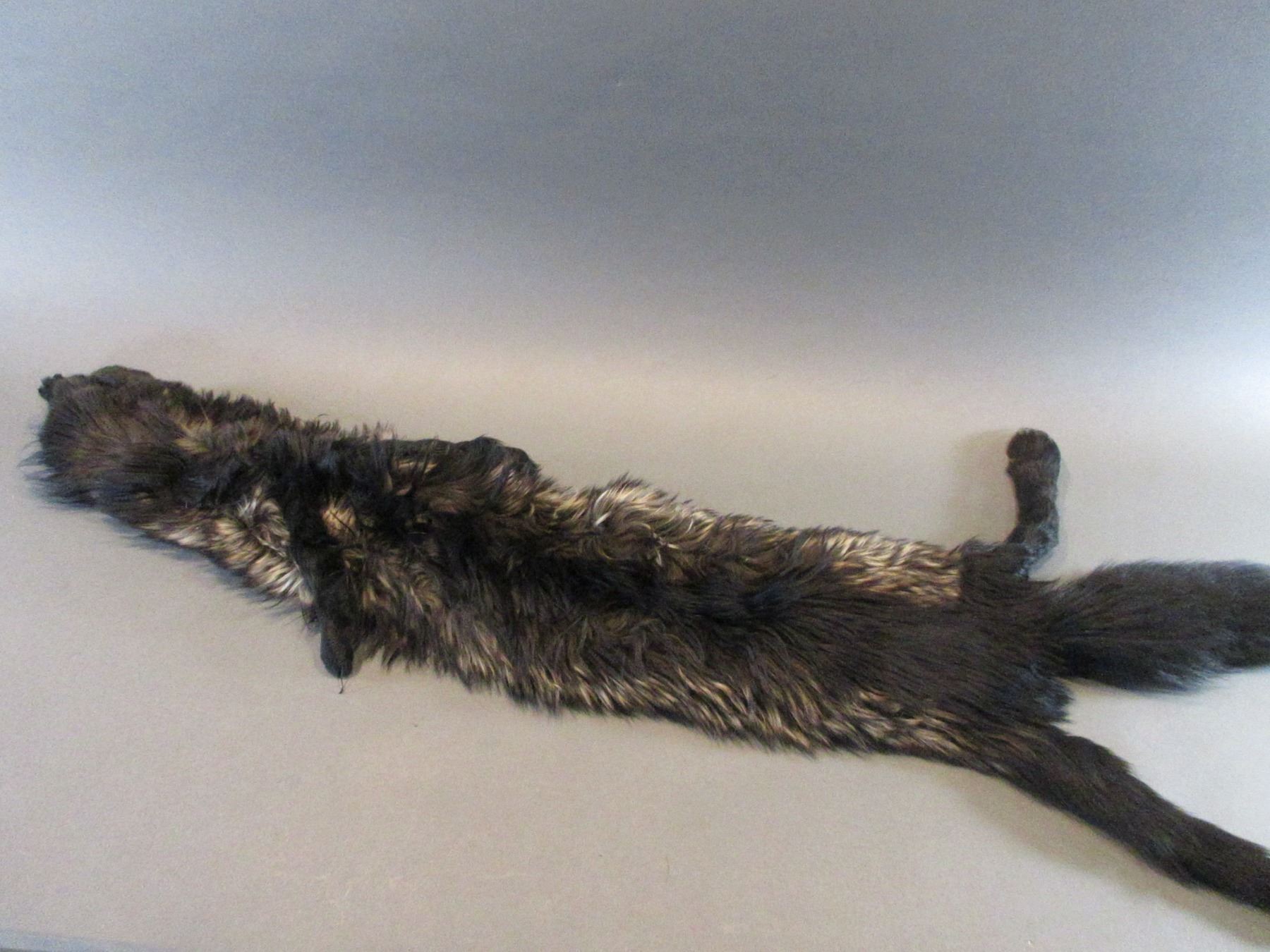 Tanned Cross Fox Hide- 37"- Missing Tail Tip