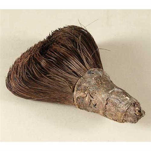 EARLY NATIVE AMERICAN HOPI BRUSH UTENSIL