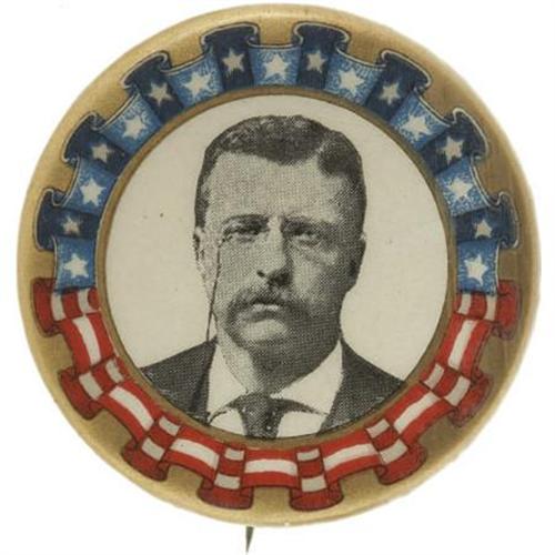 Exceptional Theodore Roosevelt 1904 Pinback