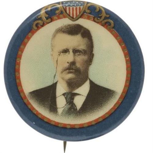 Gorgeous Theodore Roosevelt 1904 Pinback Button,