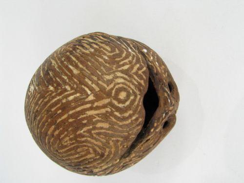 A MARAPAI RATTLE, of coconut shell incised wi
