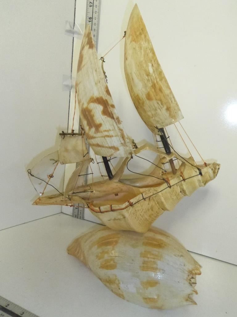 Handmade Boat Made out of Large Sea Shells