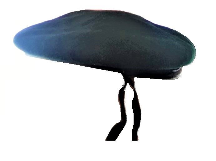 RCAF Beret, 1980 7 1/2