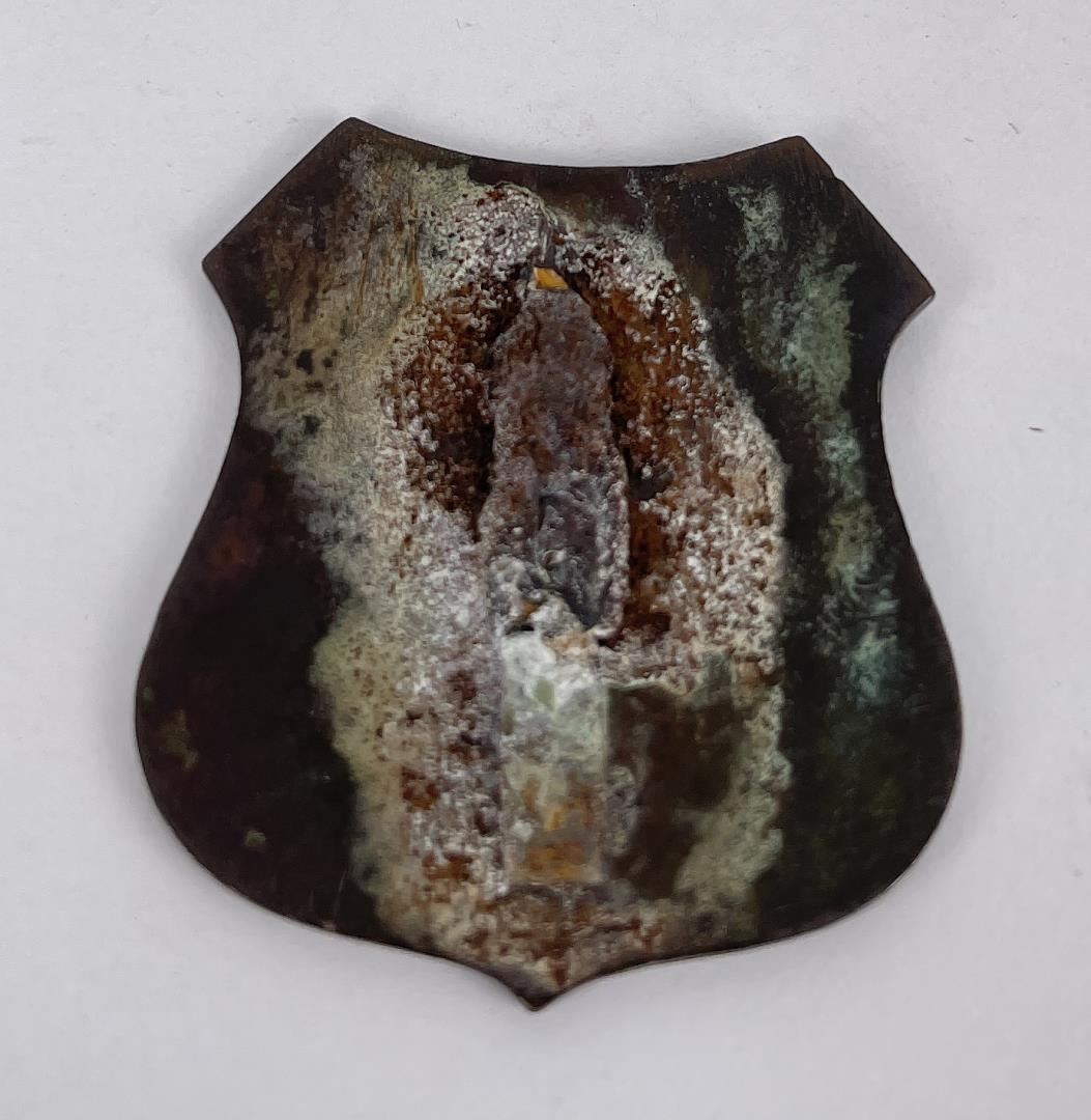 Authentic Antique US Forest Service Badge