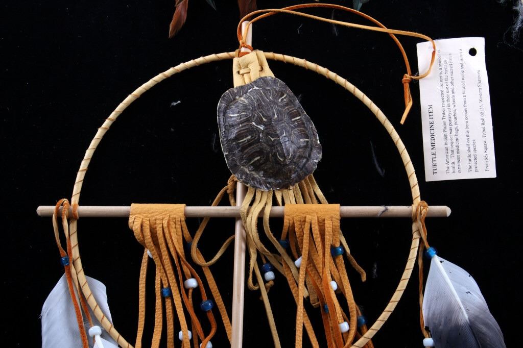 Dream Catchers & Turtle Medicine Wheel Wall Art