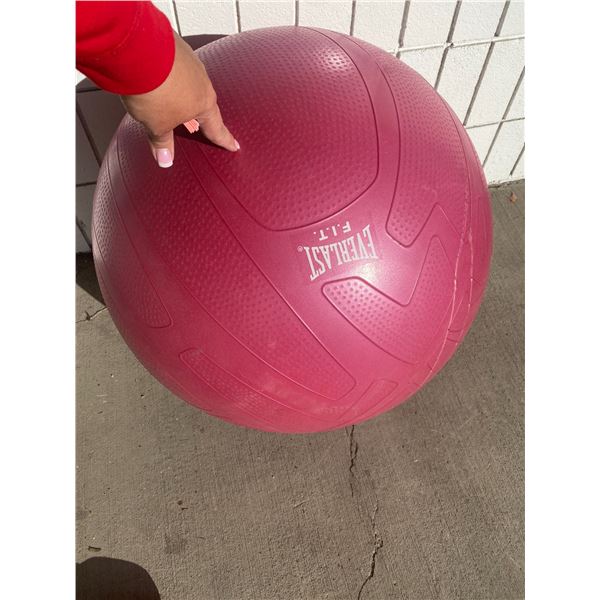 Everlast excercise ball