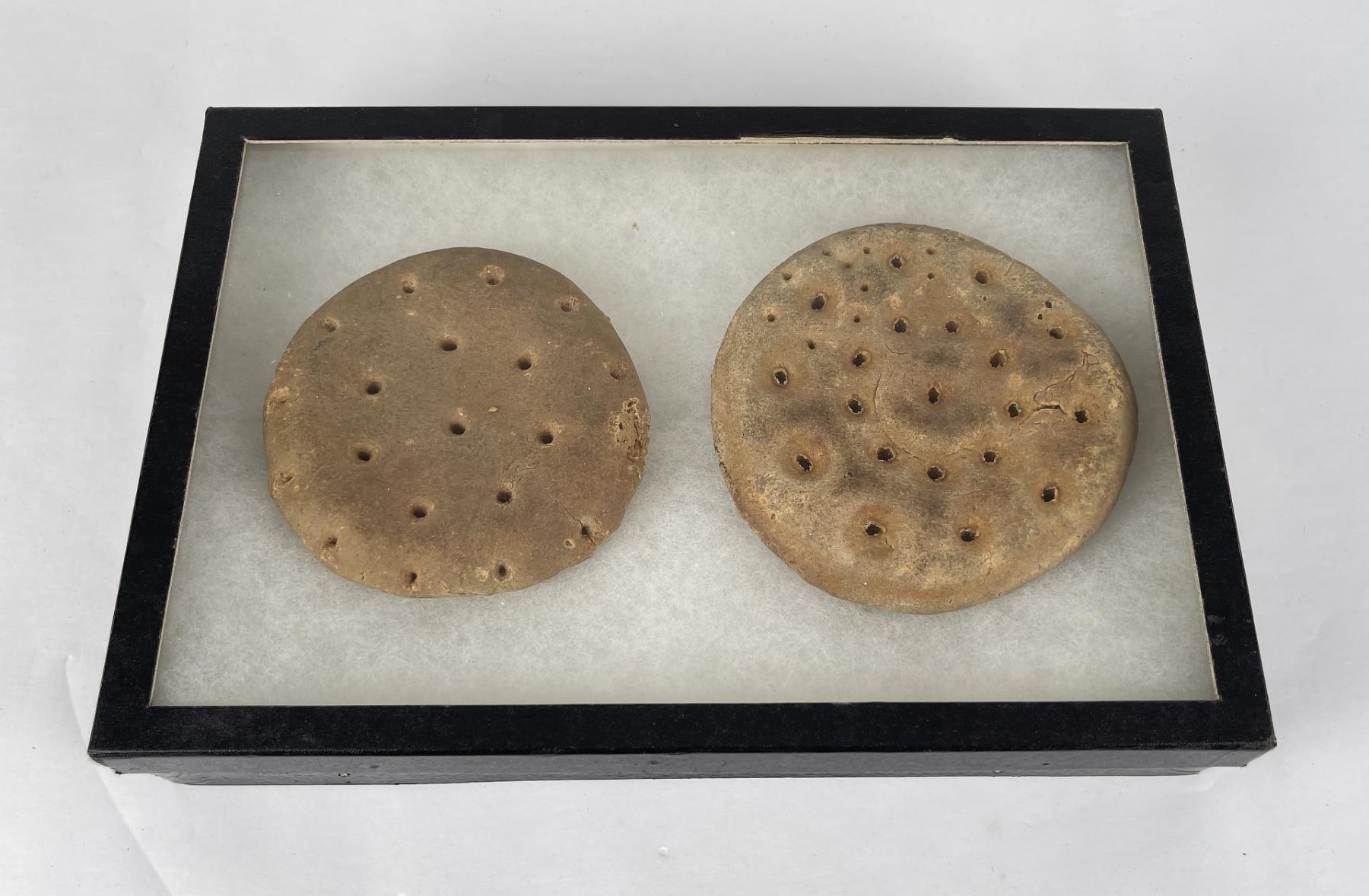 1880s Naval Hard Tack Biscuits